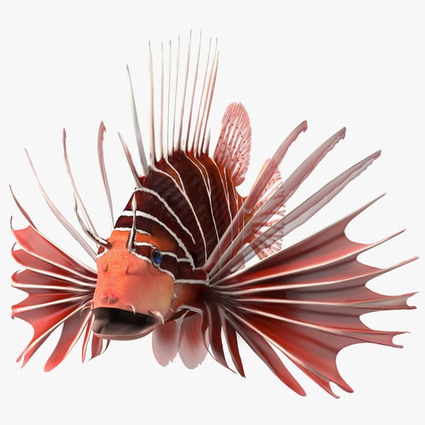3D Clearfin Lionfish - TurboSquid 2000816