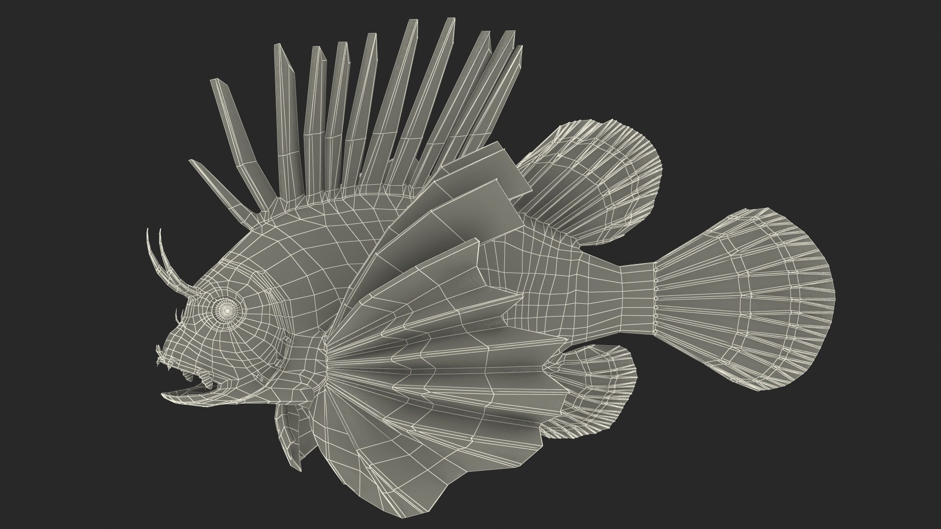 3D Clearfin Lionfish - TurboSquid 2000816