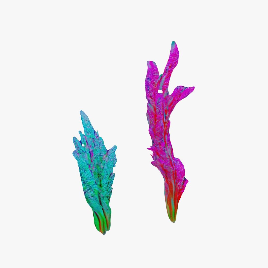 Seaweed Animation Model 3D Model - TurboSquid 2221434