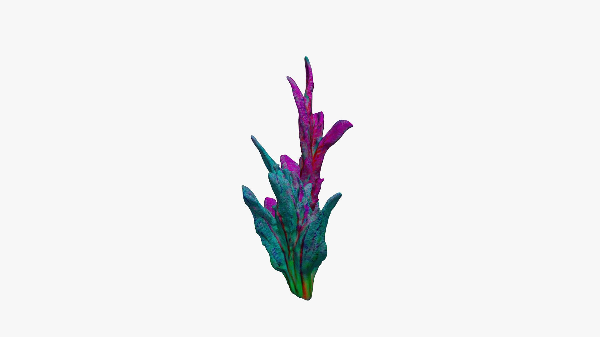 Seaweed Animation Model 3D Model - TurboSquid 2221434