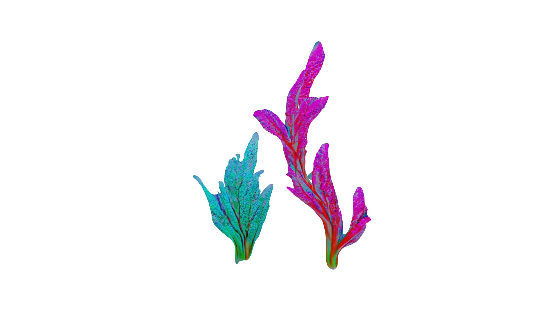 Seaweed Animation Model 3D Model - TurboSquid 2221434
