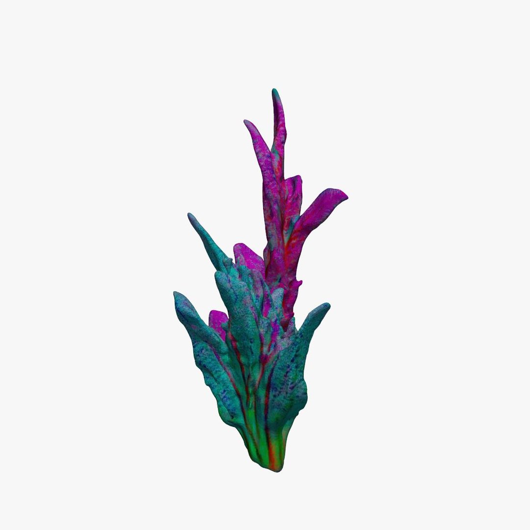 Seaweed Animation Model 3D Model - TurboSquid 2221434