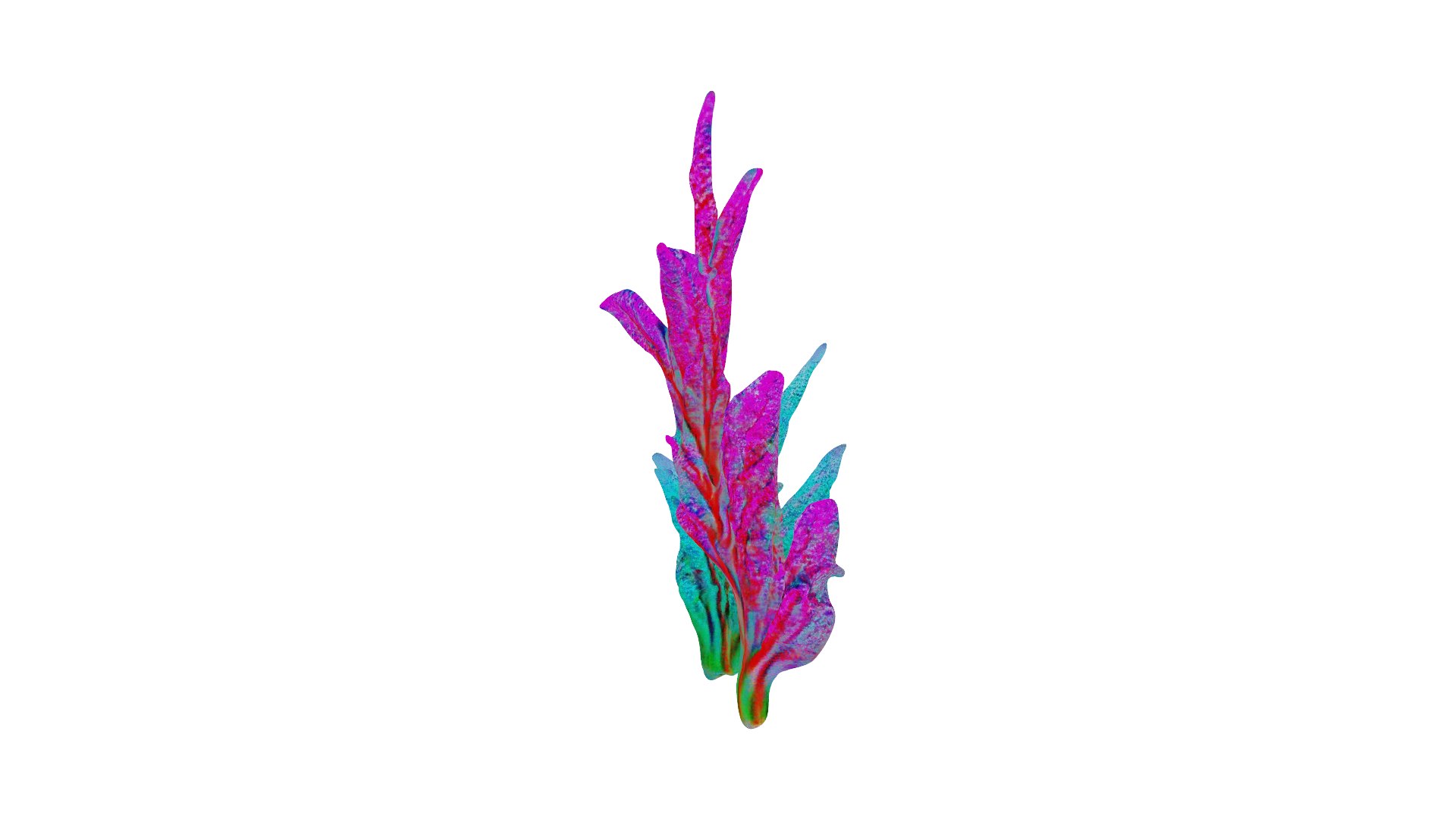 Seaweed Animation Model 3D Model - TurboSquid 2221434
