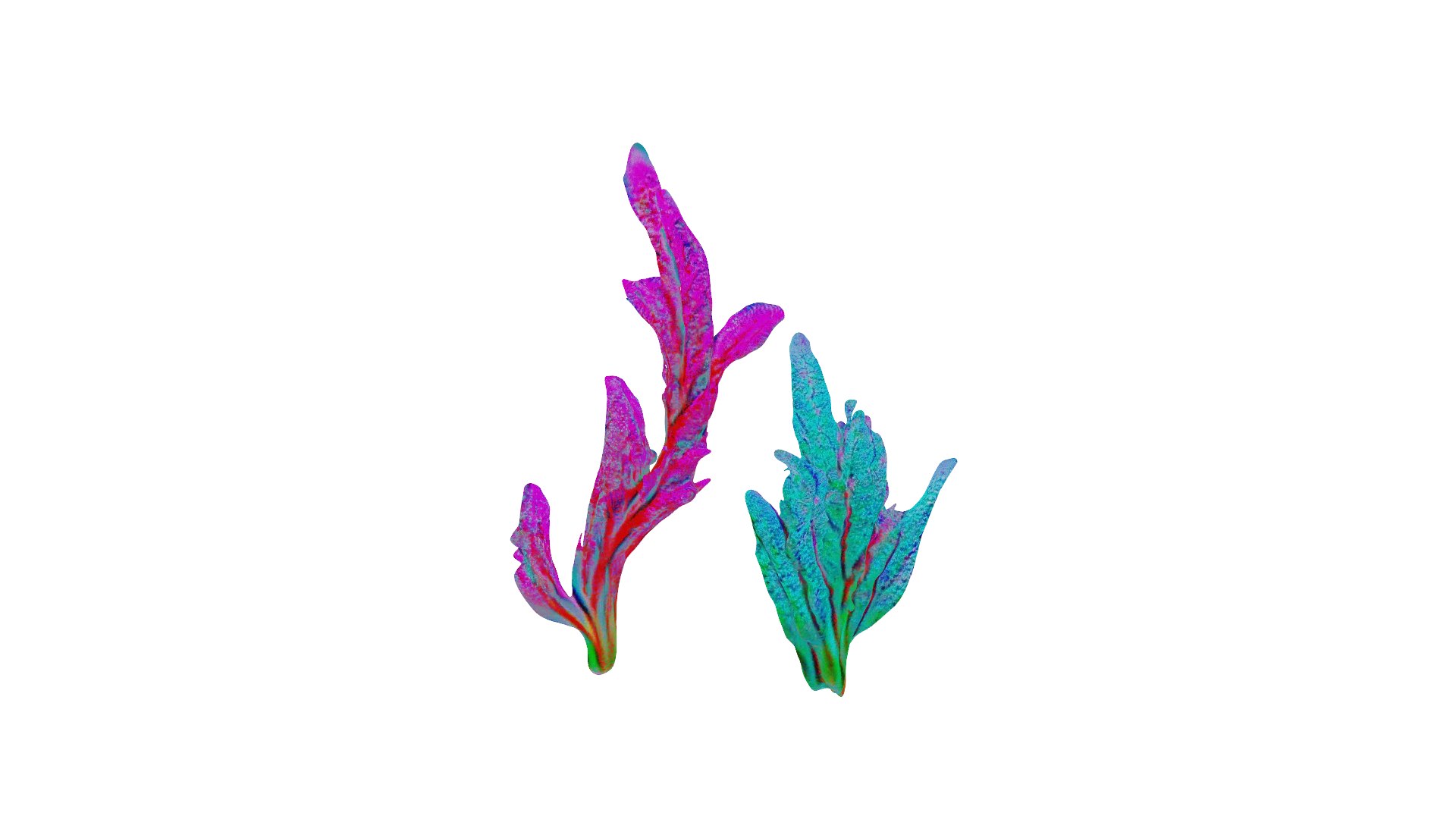 Seaweed Animation Model 3D Model - TurboSquid 2221434