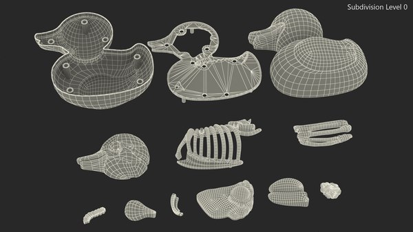 modelo 3d Partes de la anatomía del pato de baño - TurboSquid 1839952