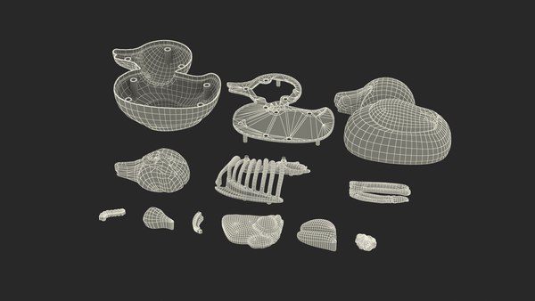 modelo 3d Partes de la anatomía del pato de baño - TurboSquid 1839952
