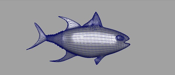 free yellow fin tuna 3d model
