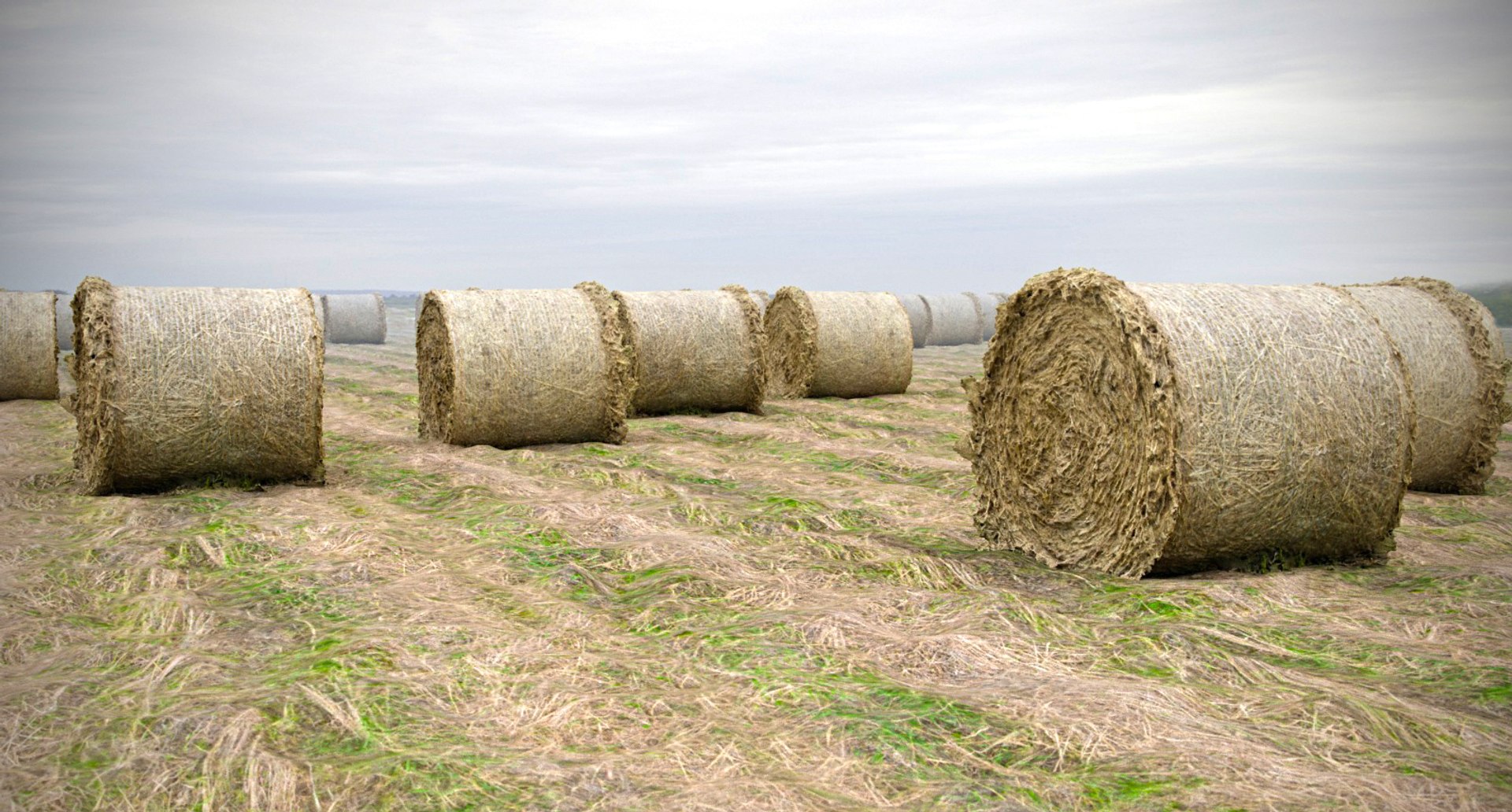 3D Farmland Scanned - TurboSquid 1190103