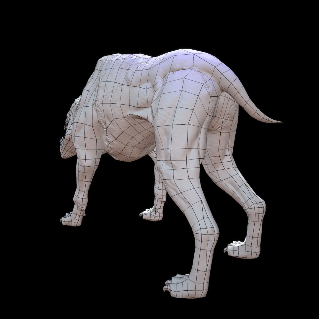 3d Infernal Dog