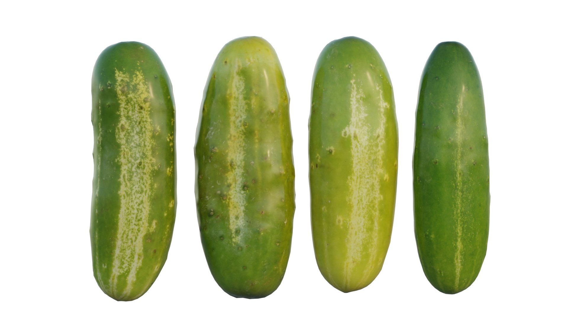 3D Cucumber model - TurboSquid 1903545