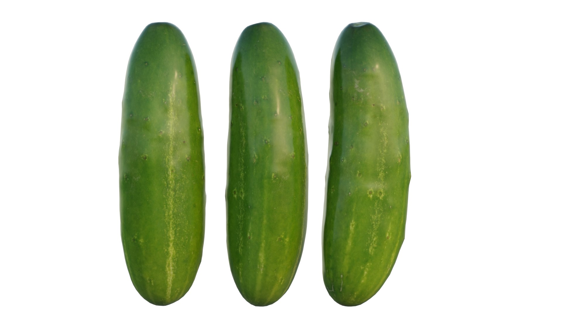 3D Cucumber model - TurboSquid 1903545