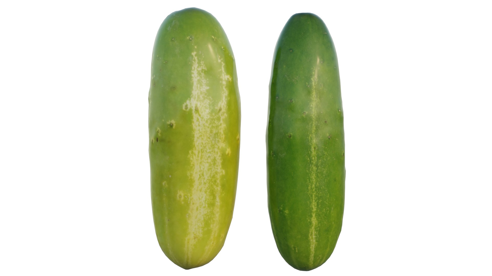 3D Cucumber model - TurboSquid 1903545
