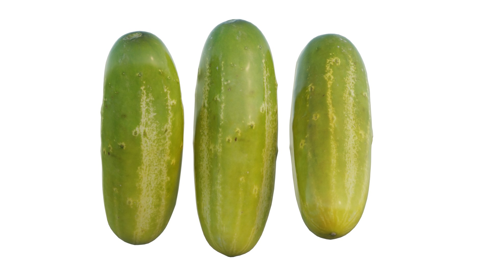 3D Cucumber model - TurboSquid 1903545