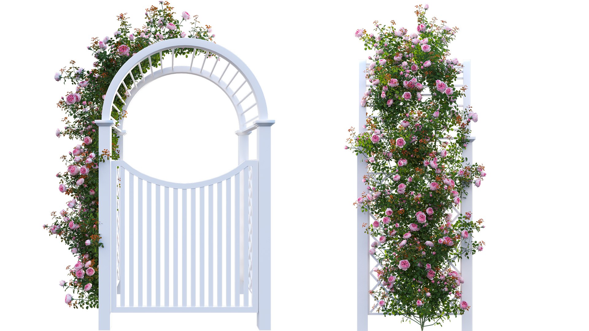 3D Climbing Rose - Rose Gate - TurboSquid 2048951