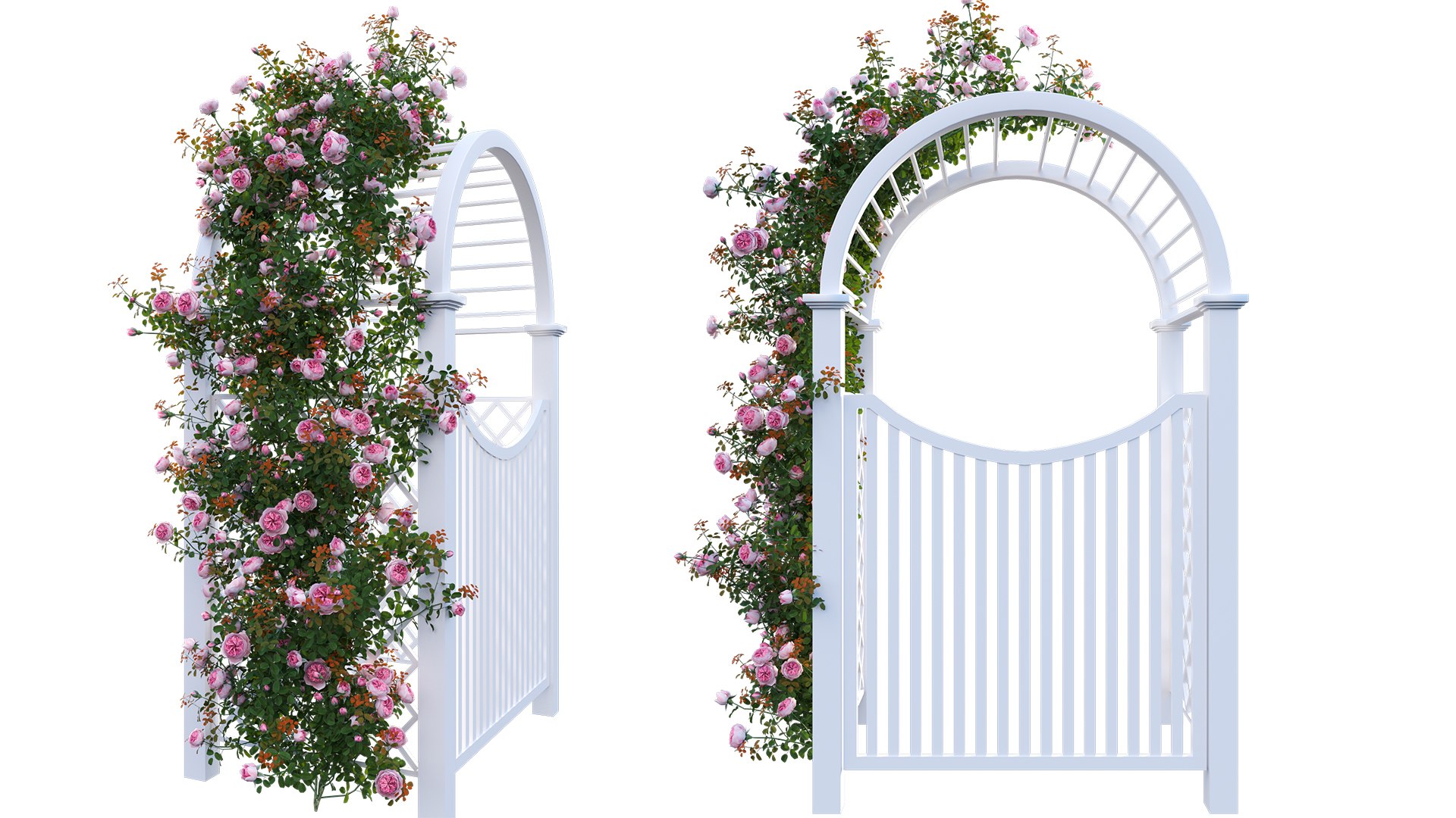 3D Climbing Rose - Rose Gate - TurboSquid 2048951