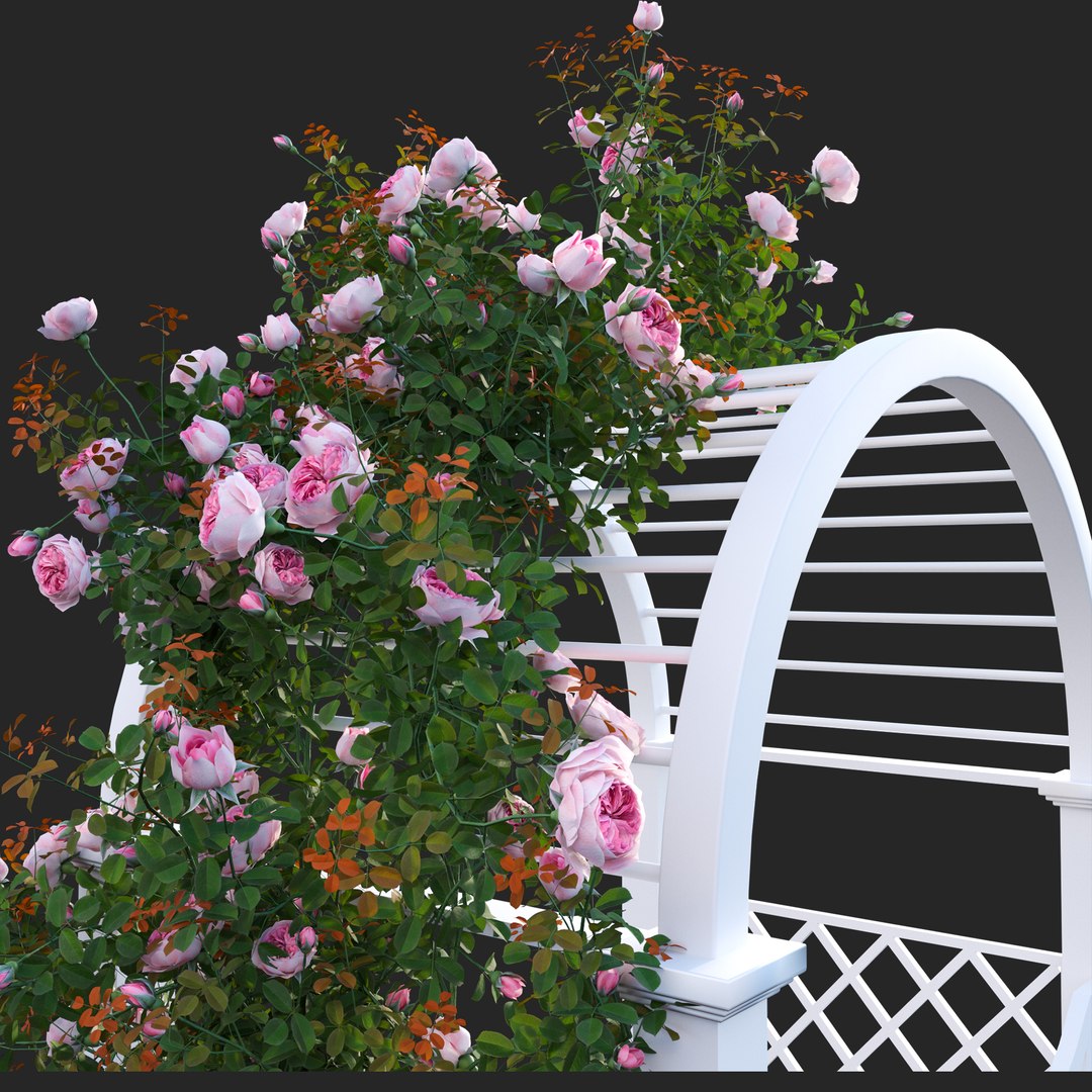 3D Climbing Rose - Rose Gate - TurboSquid 2048951