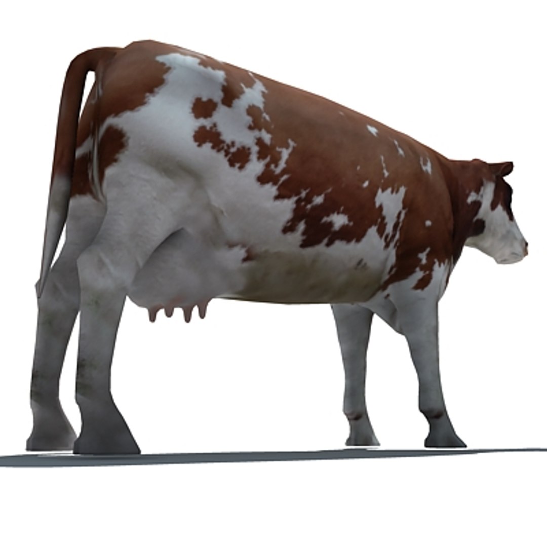 Cow 3d 3ds