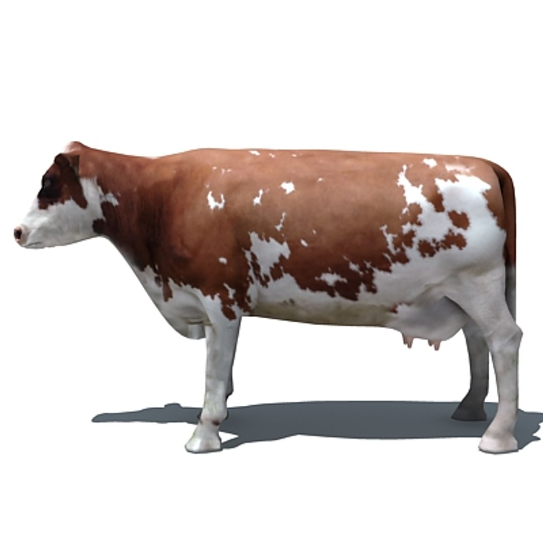 Cow 3d 3ds