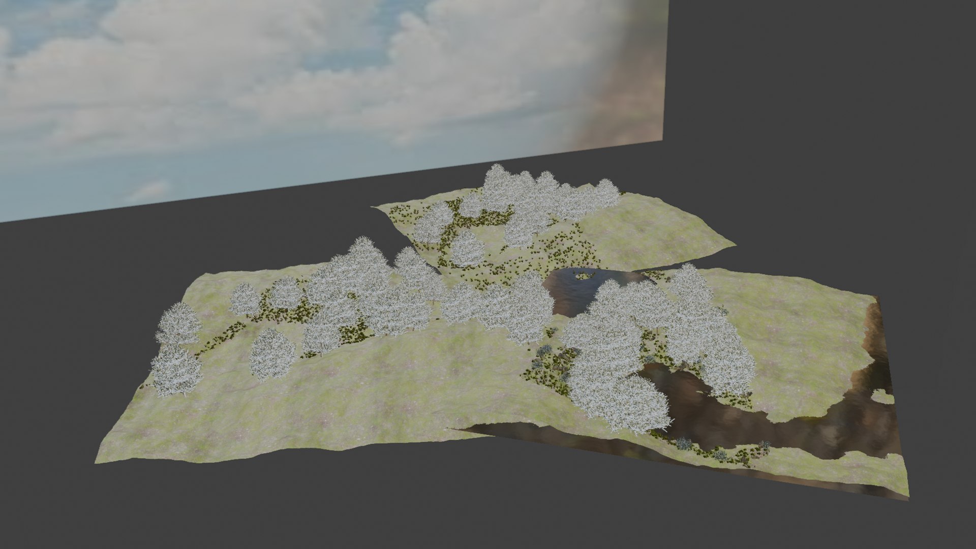 Forest Landscape 3D Model - TurboSquid 2245258