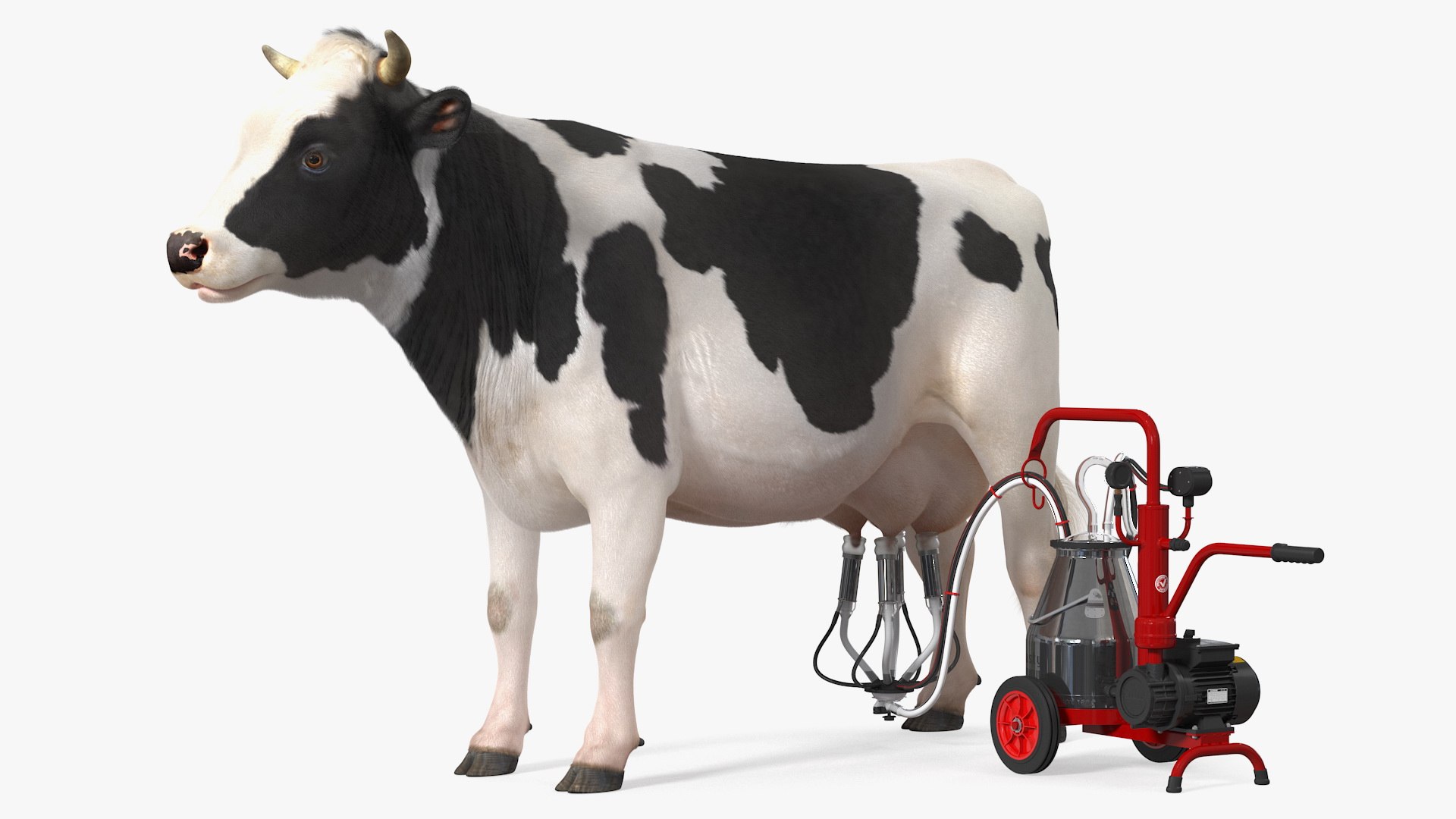 Milking Cows Machine