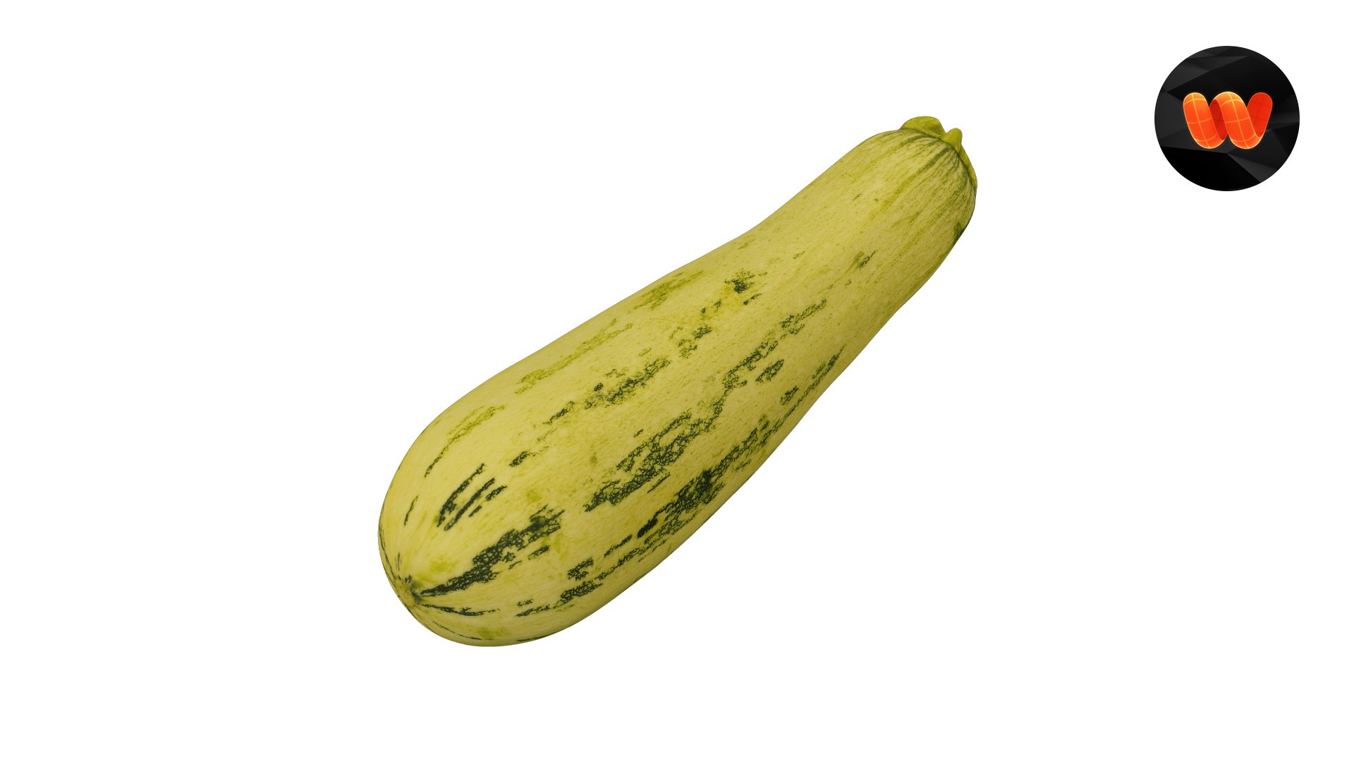 3D Zucchini Cucurbita pepo - Extreme Definition 3D Scanned model ...