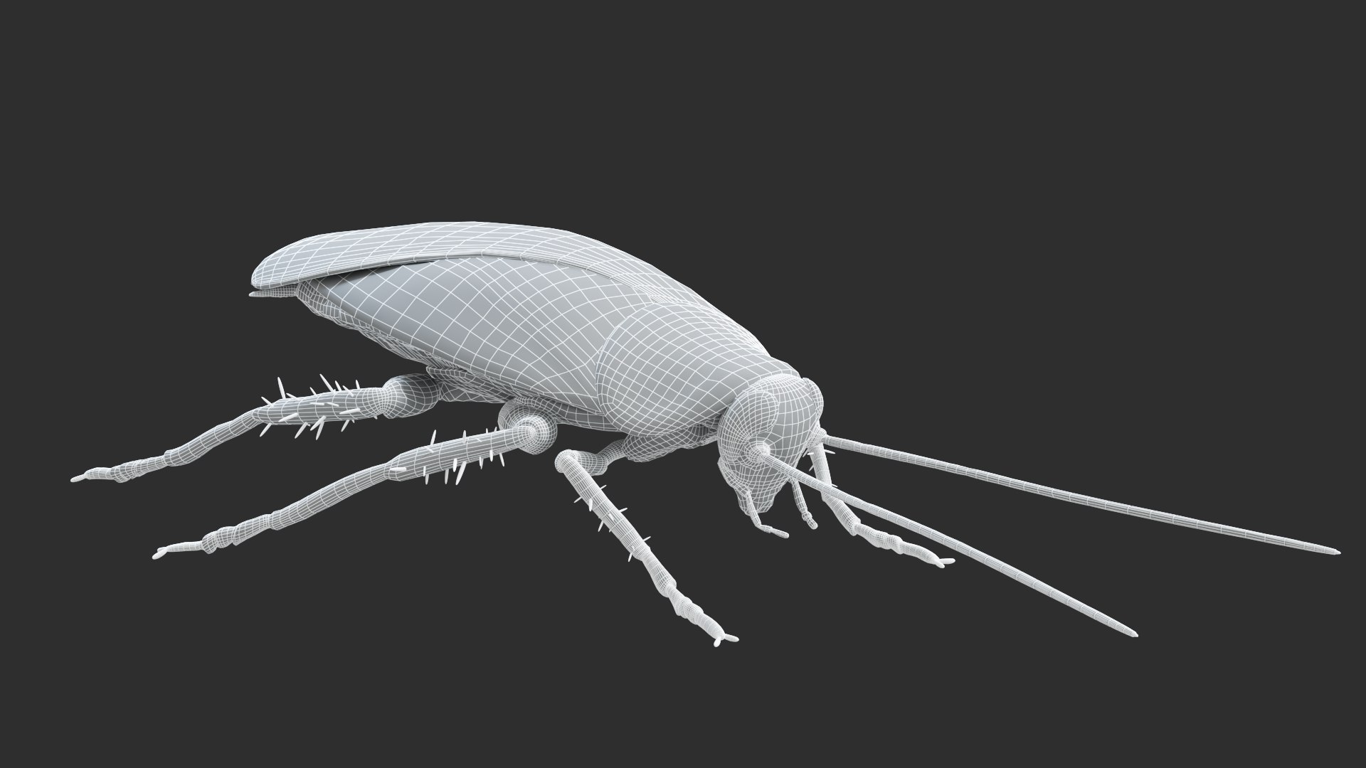 3D model Cockroach - TurboSquid 1969879
