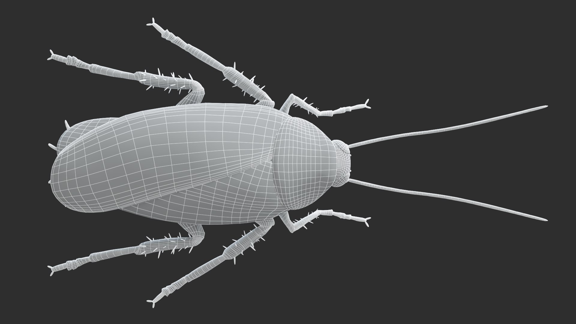 3D model Cockroach - TurboSquid 1969879