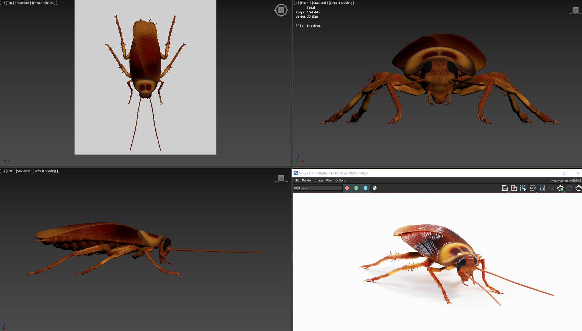 3D model Cockroach - TurboSquid 1969879