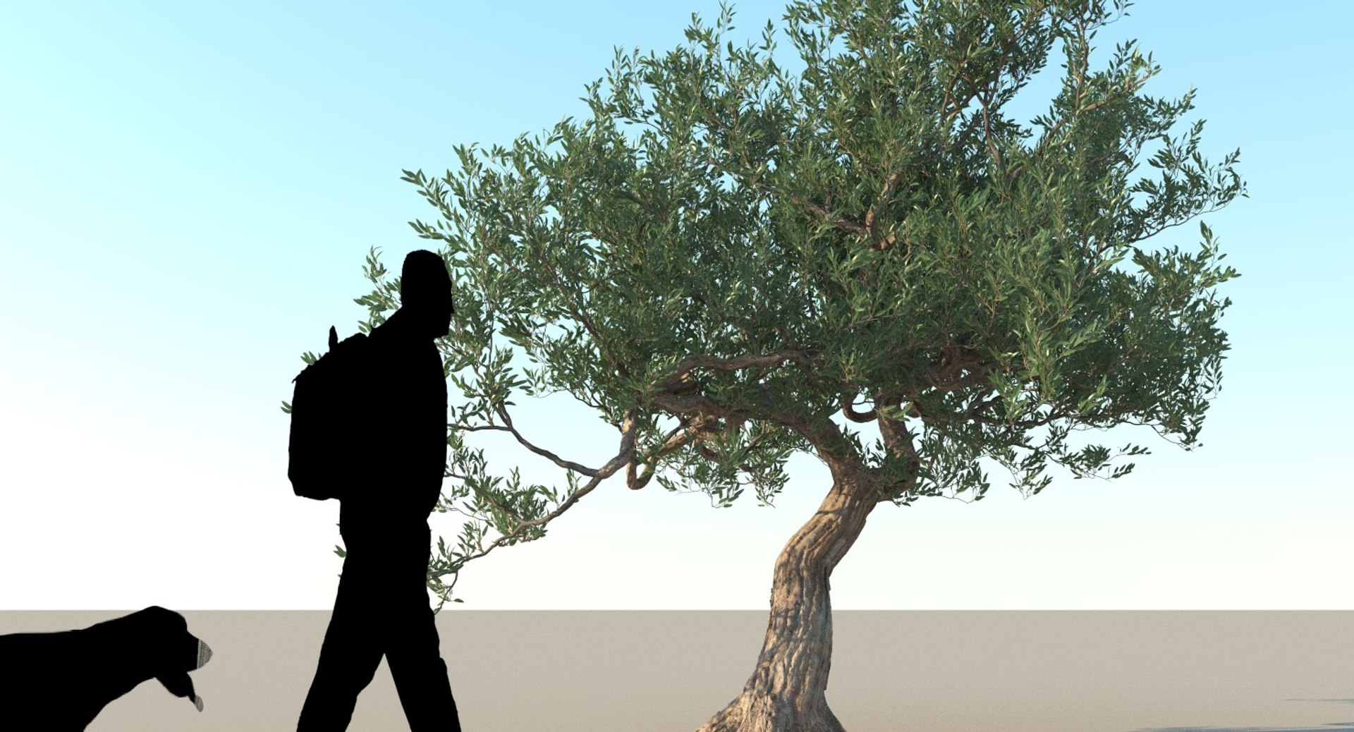 Max Olive Tree
