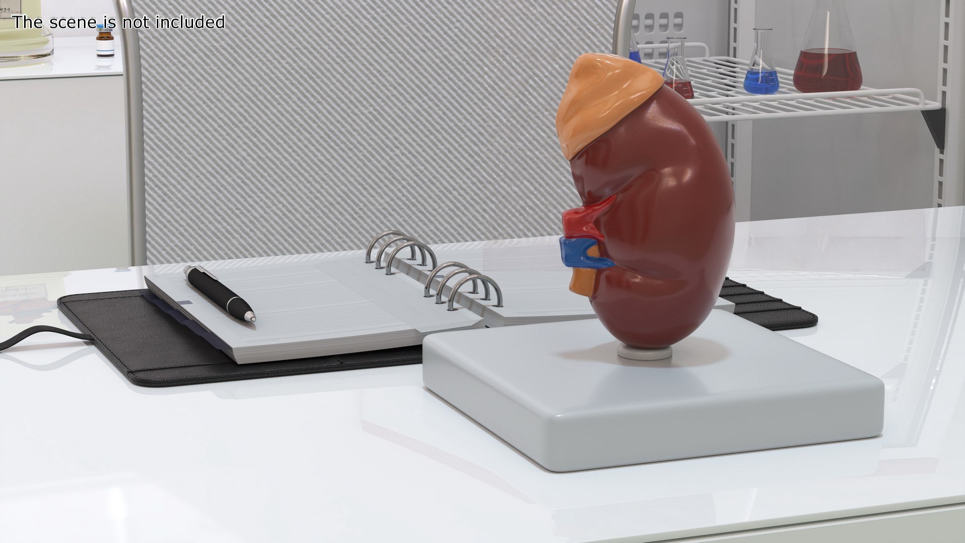 3D Medical Models Collection 6 - TurboSquid 2356929