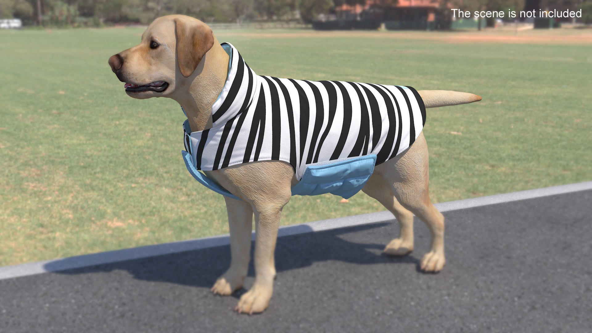 3D Dog Coat Zebra - TurboSquid 2031803