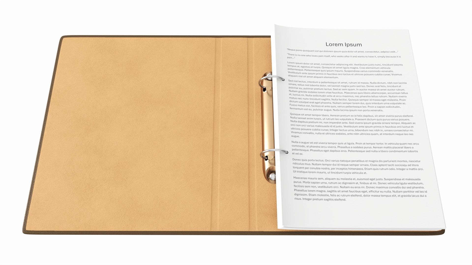 3D Model Office Document Binder Mockup 02 Open - TurboSquid 2238016
