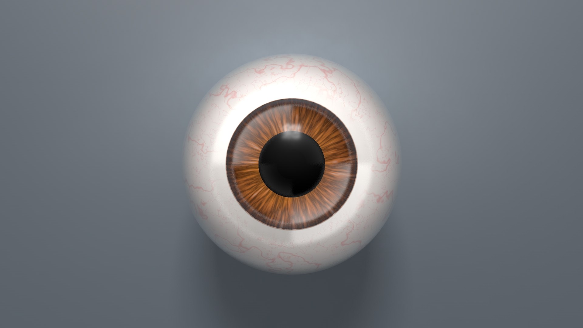3D Eyeball Eye Ball - TurboSquid 1677520