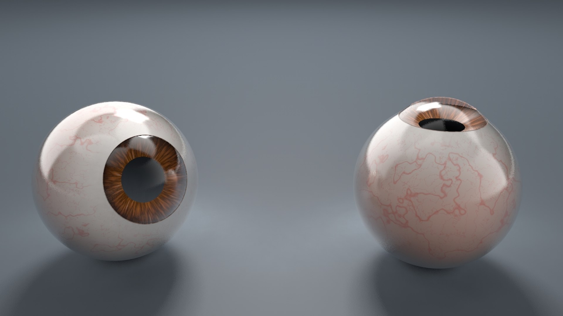3D Eyeball Eye Ball - TurboSquid 1677520