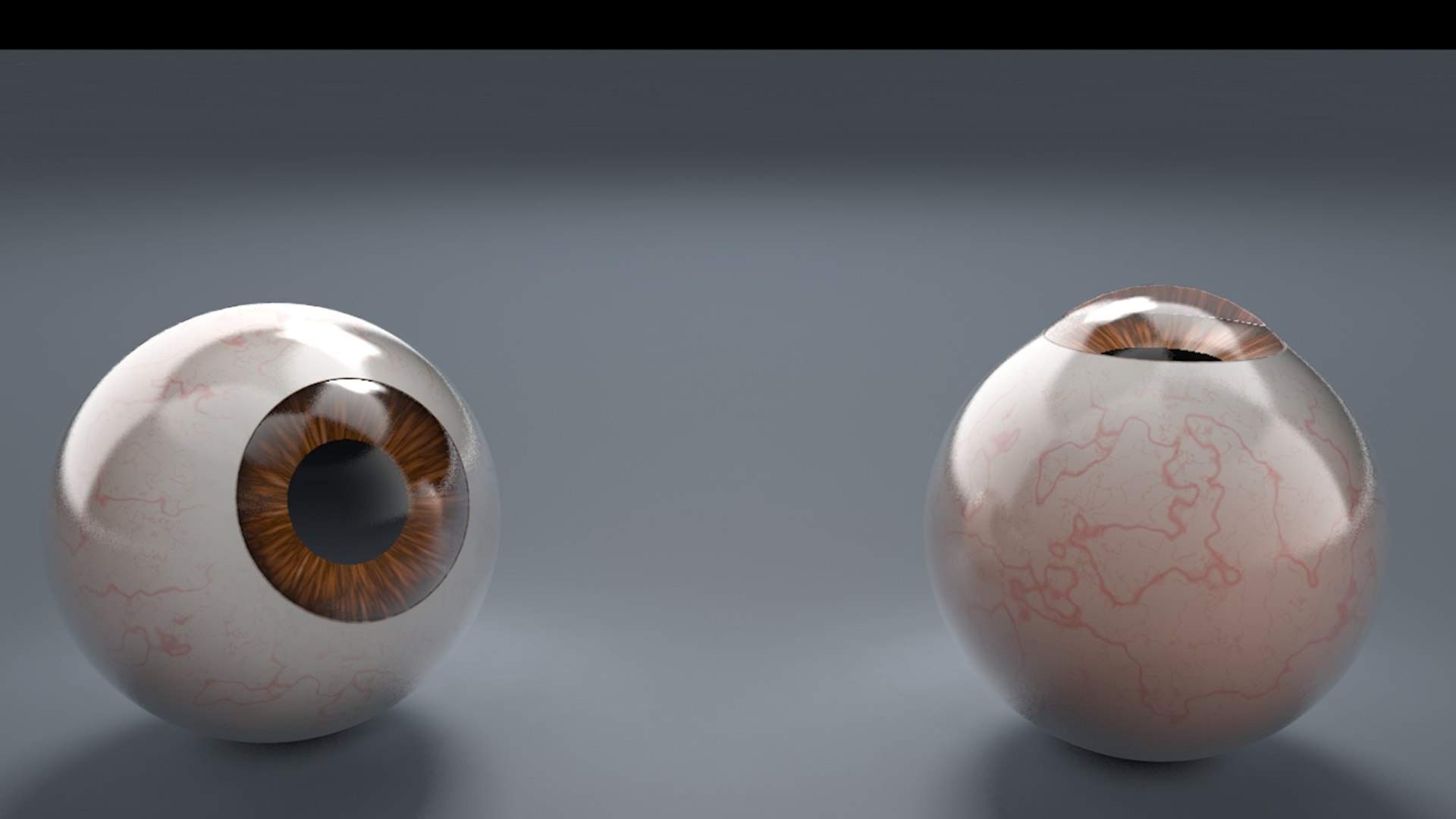 3D Eyeball Eye Ball - TurboSquid 1677520
