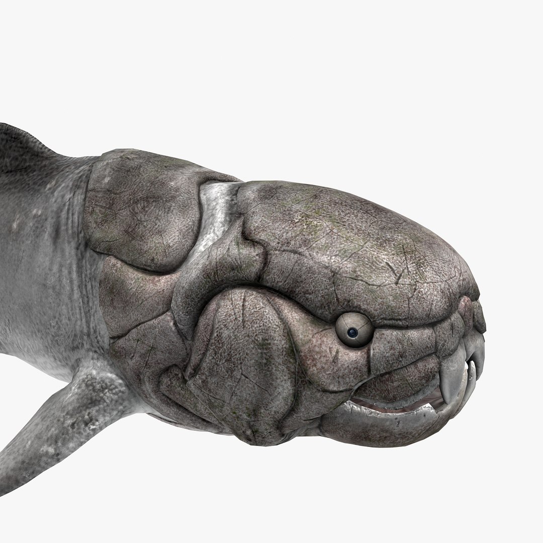 Max Dunkleosteus Fishes Devonian