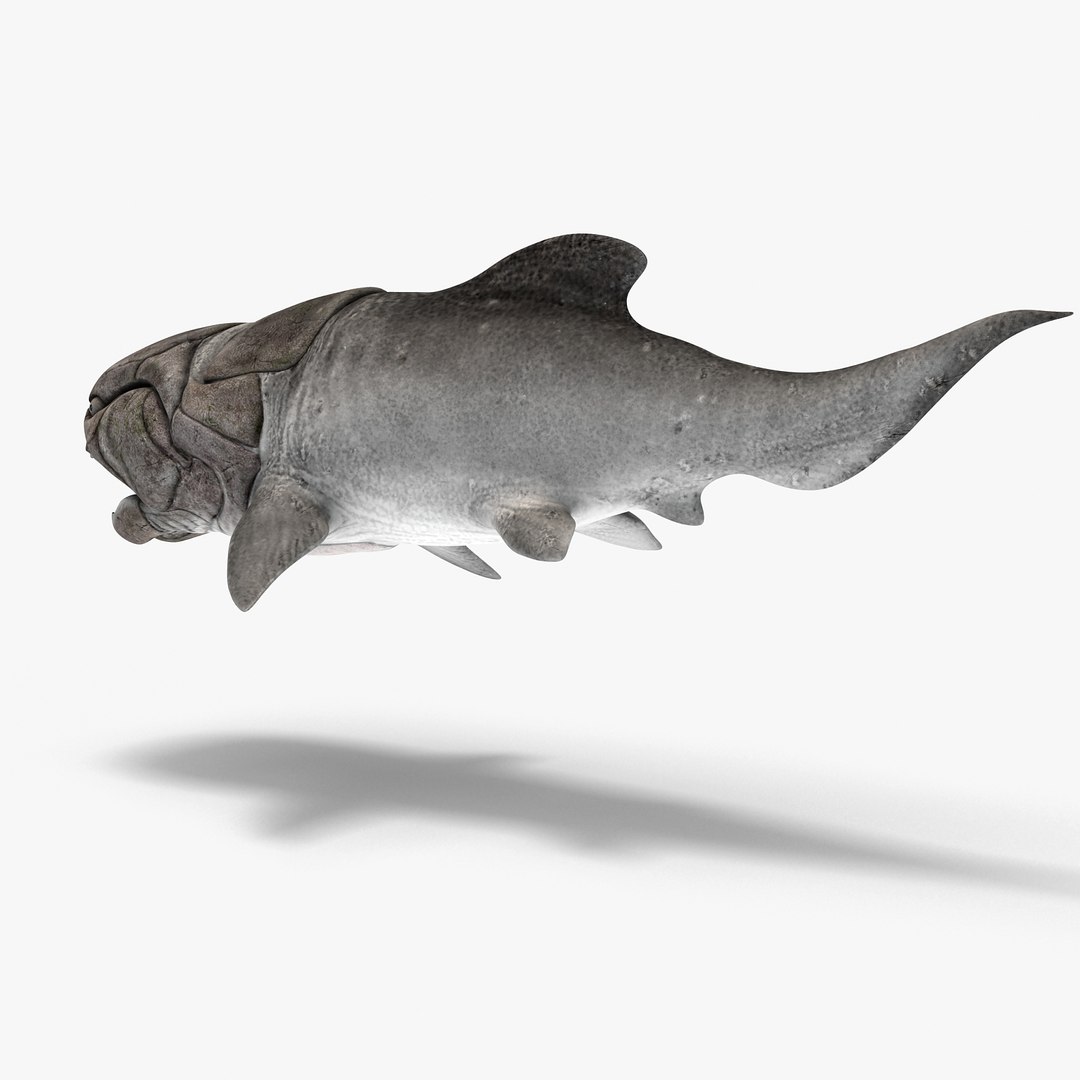 Max Dunkleosteus Fishes Devonian