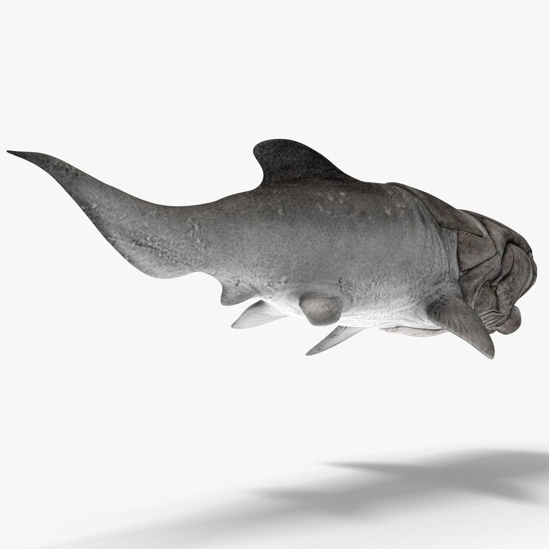 Max Dunkleosteus Fishes Devonian