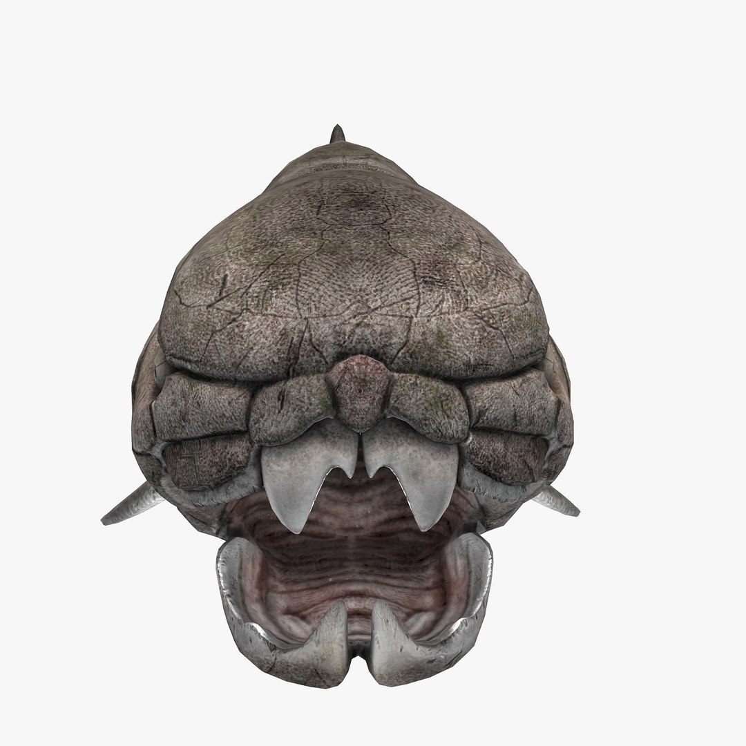 Max Dunkleosteus Fishes Devonian
