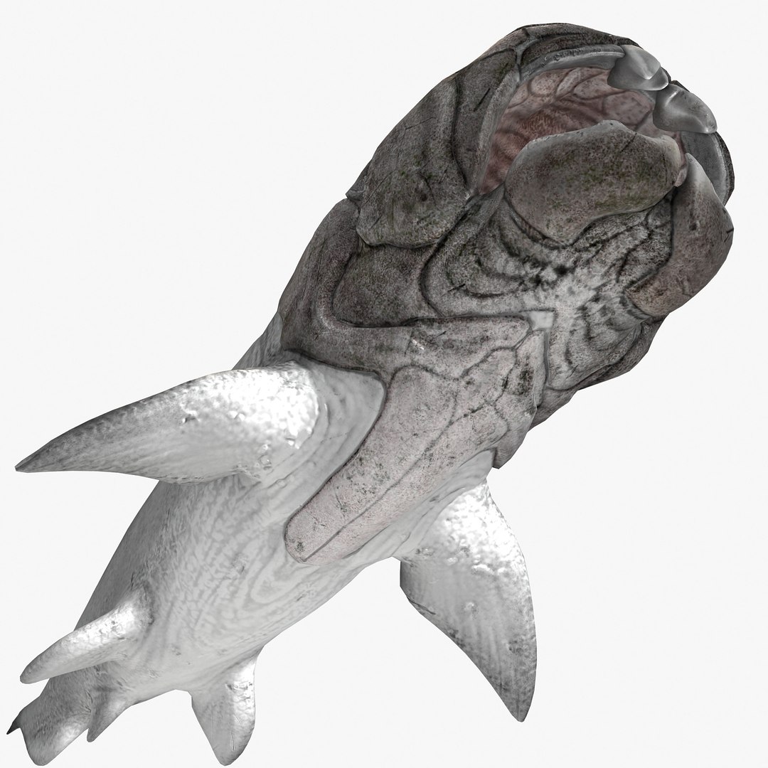 Max Dunkleosteus Fishes Devonian