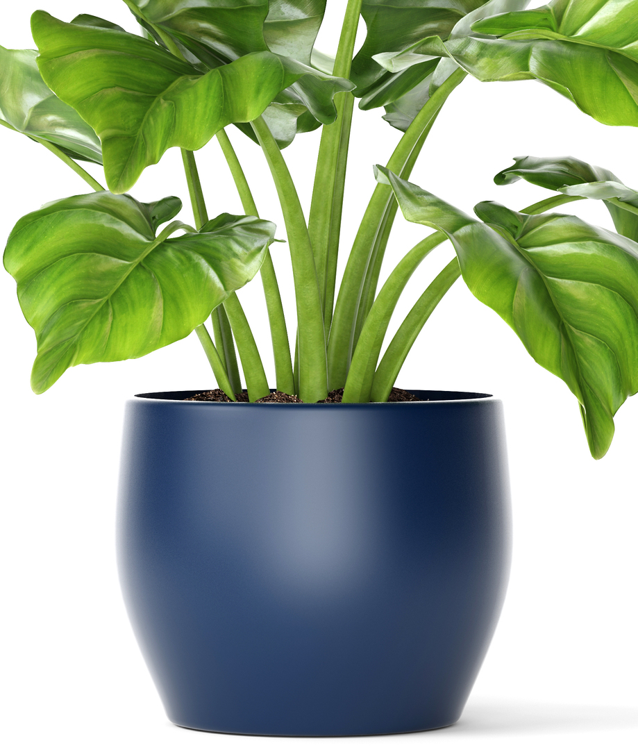 3d model of plant pot