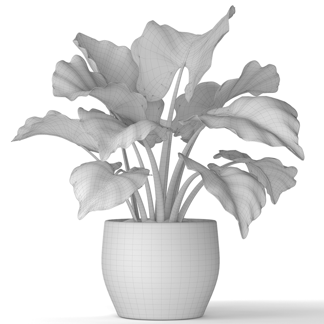 3d model of plant pot