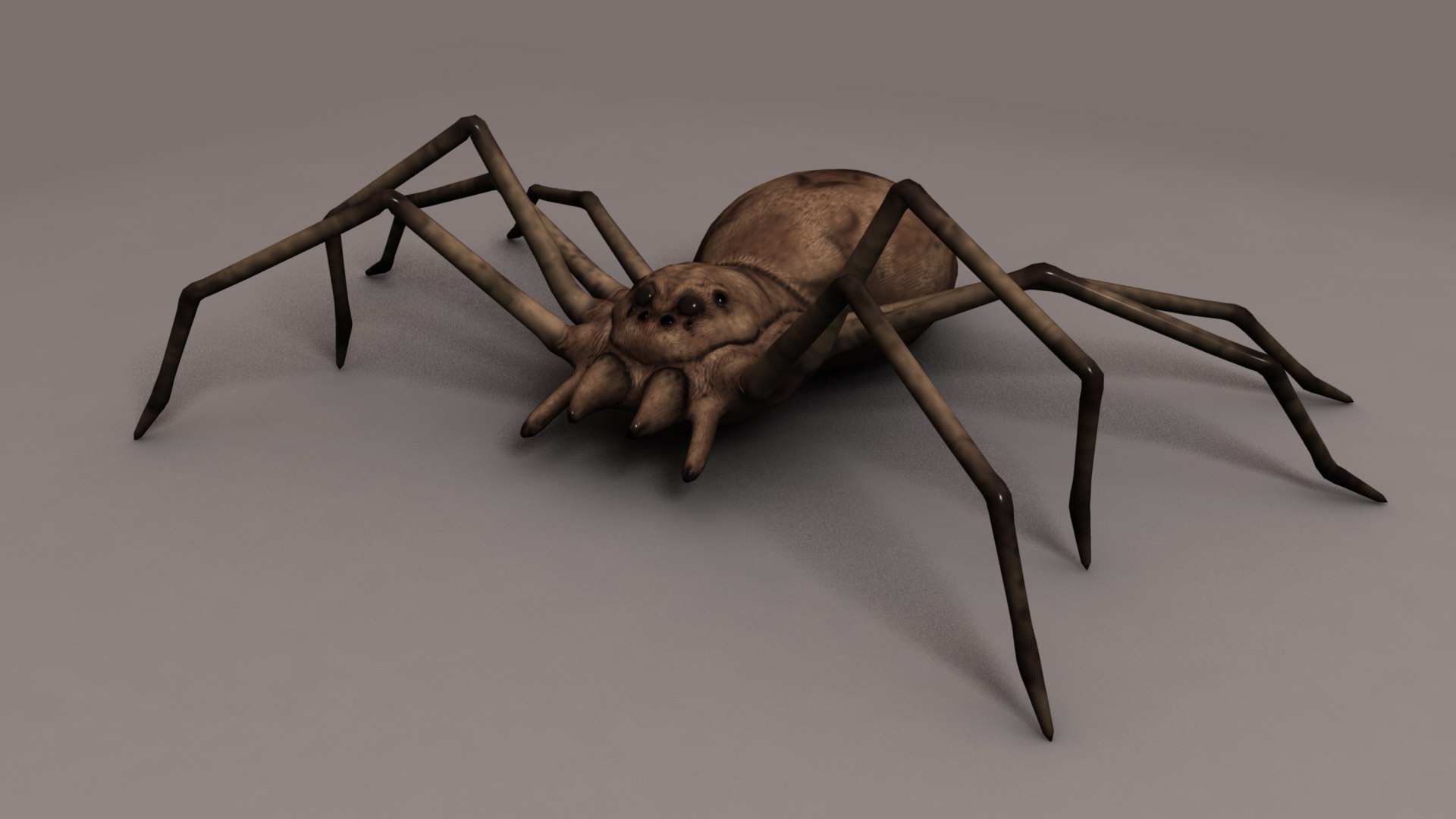 Spider 3d Ma
