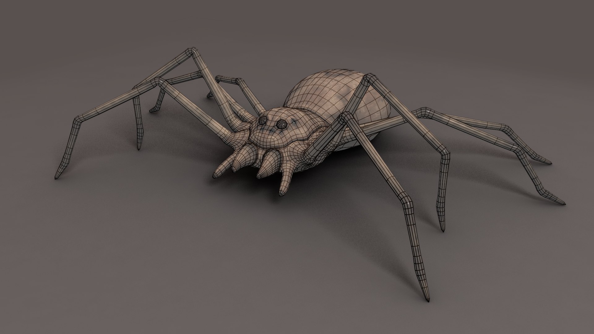 Spider 3d Ma