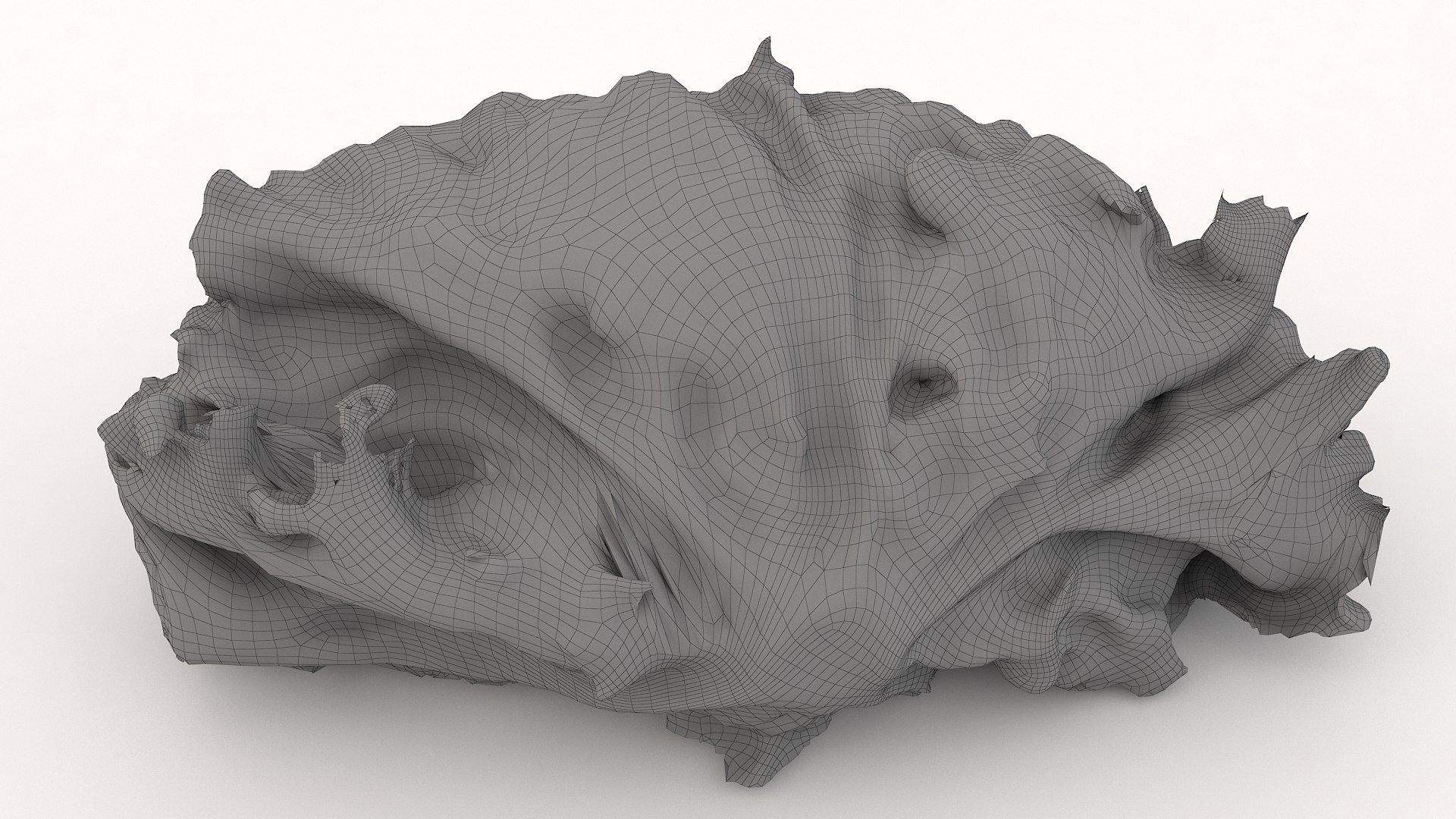 Salad Head Lettuce 3D - TurboSquid 1502595