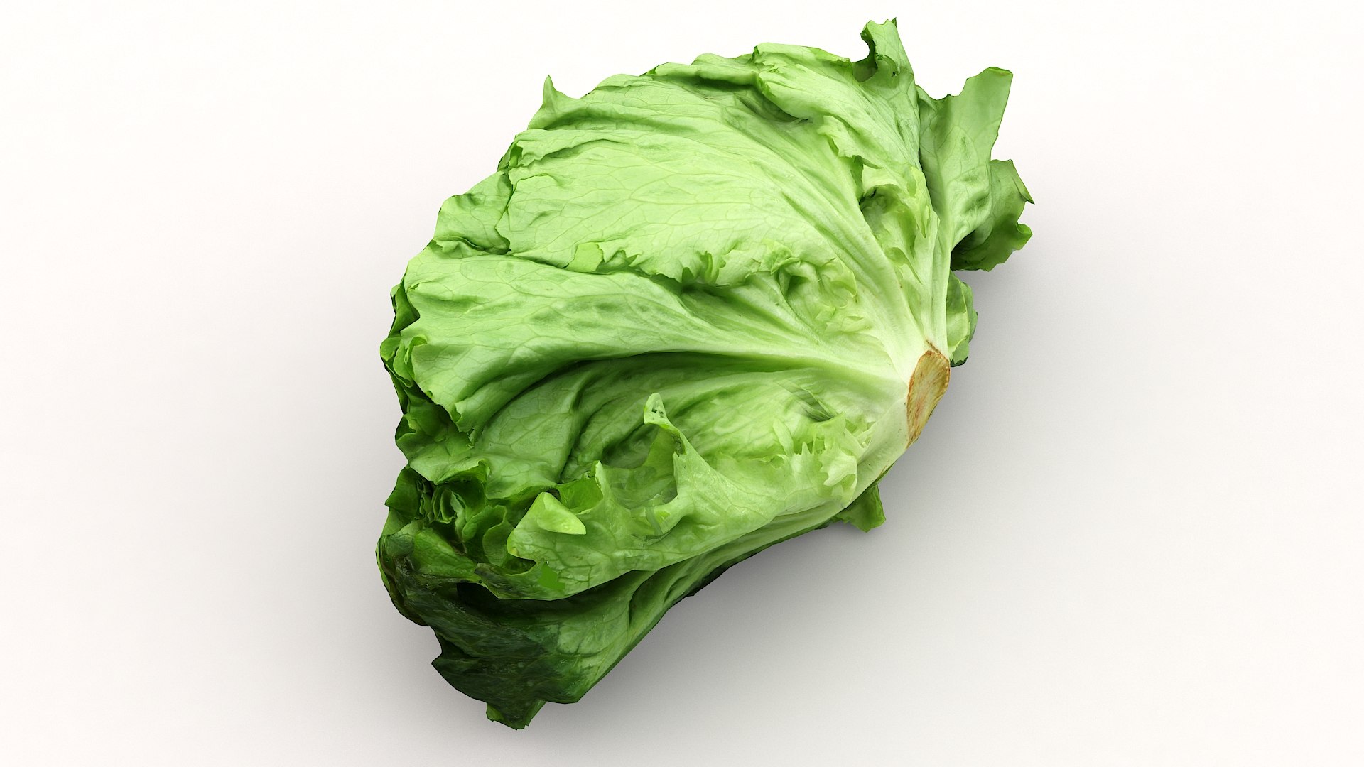 Salad Head Lettuce 3D - TurboSquid 1502595