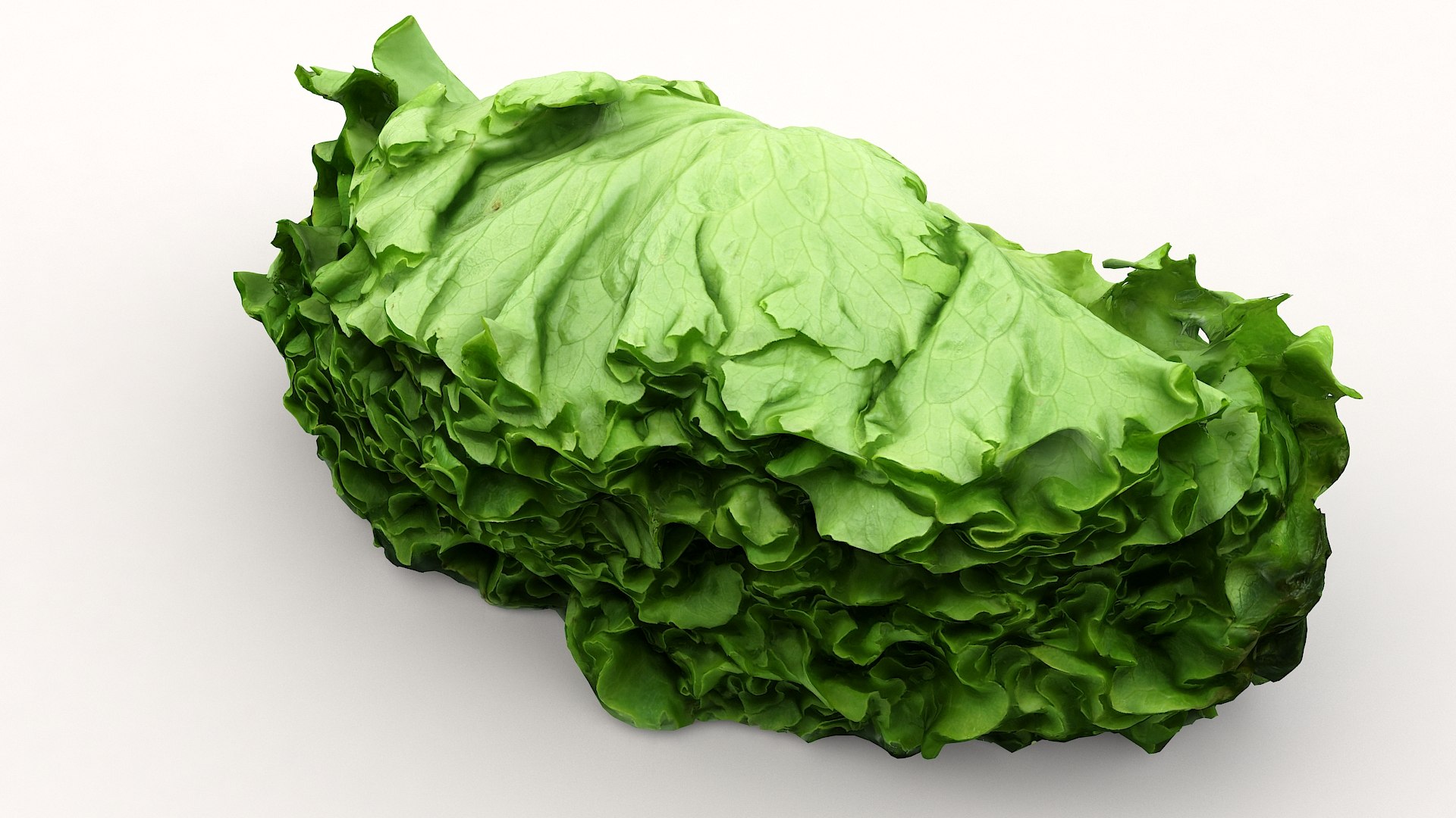 Salad Head Lettuce 3D - TurboSquid 1502595