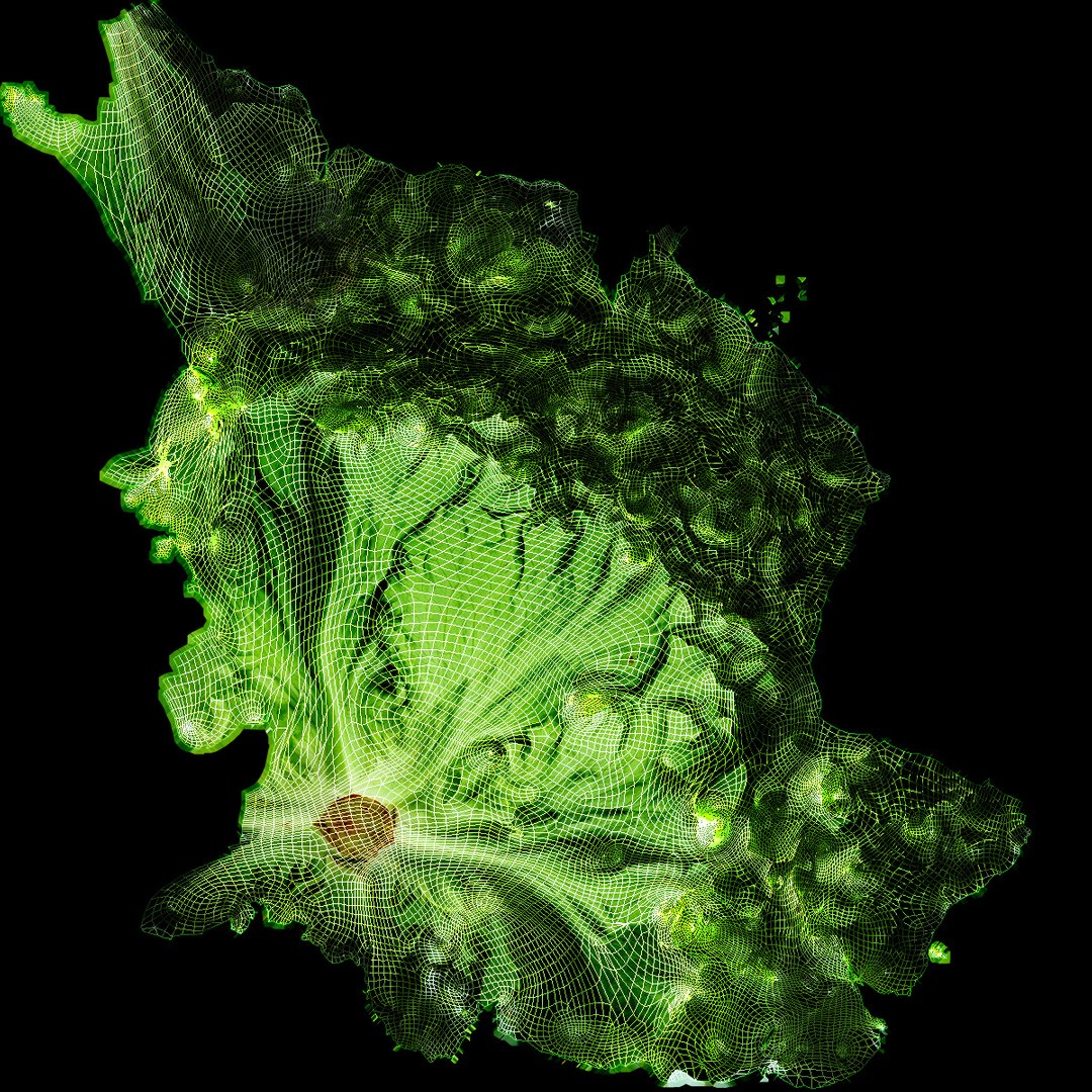 Salad Head Lettuce 3D - TurboSquid 1502595