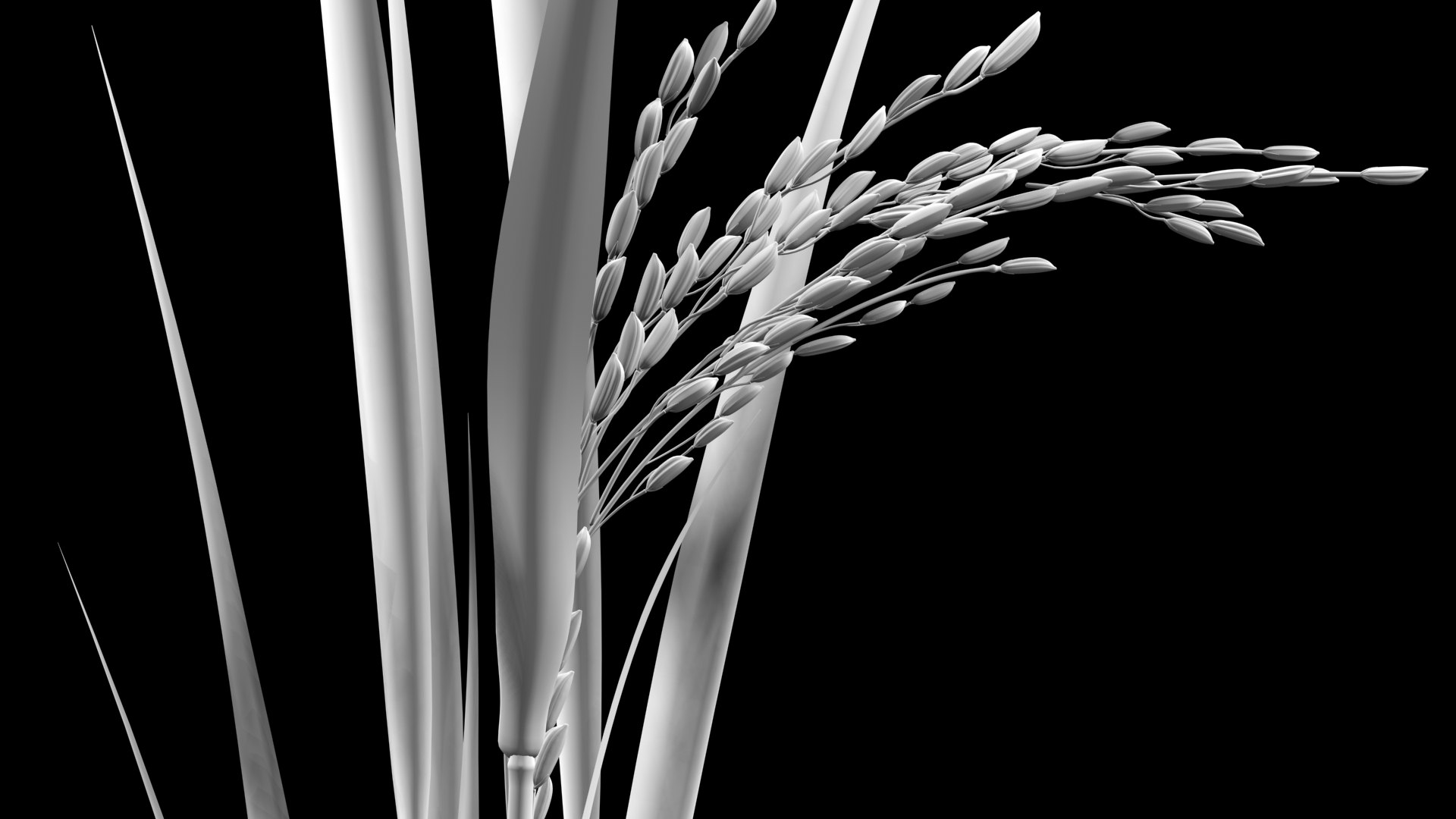 PADDY PLANT OPTION 6 FINAL 2012 3D - TurboSquid 1855406