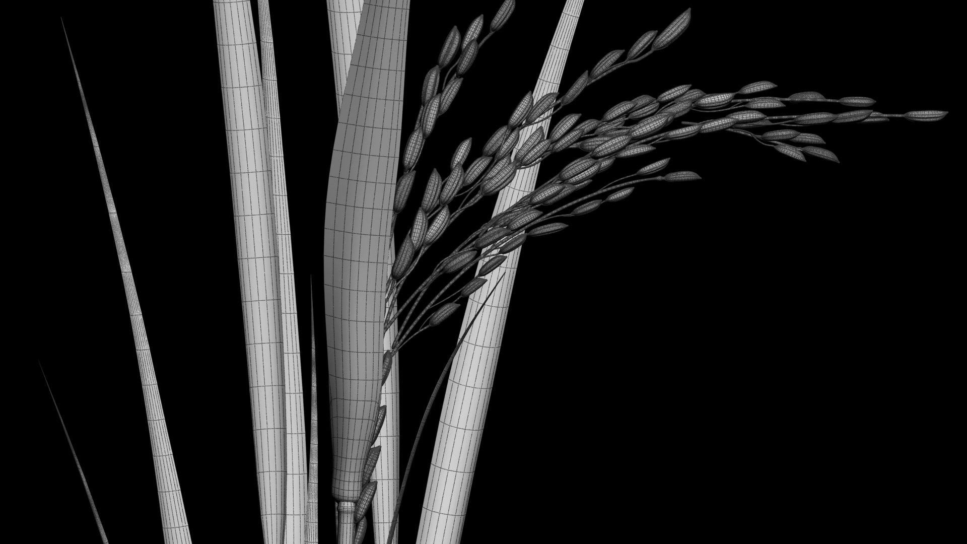 PADDY PLANT OPTION 6 FINAL 2012 3D - TurboSquid 1855406